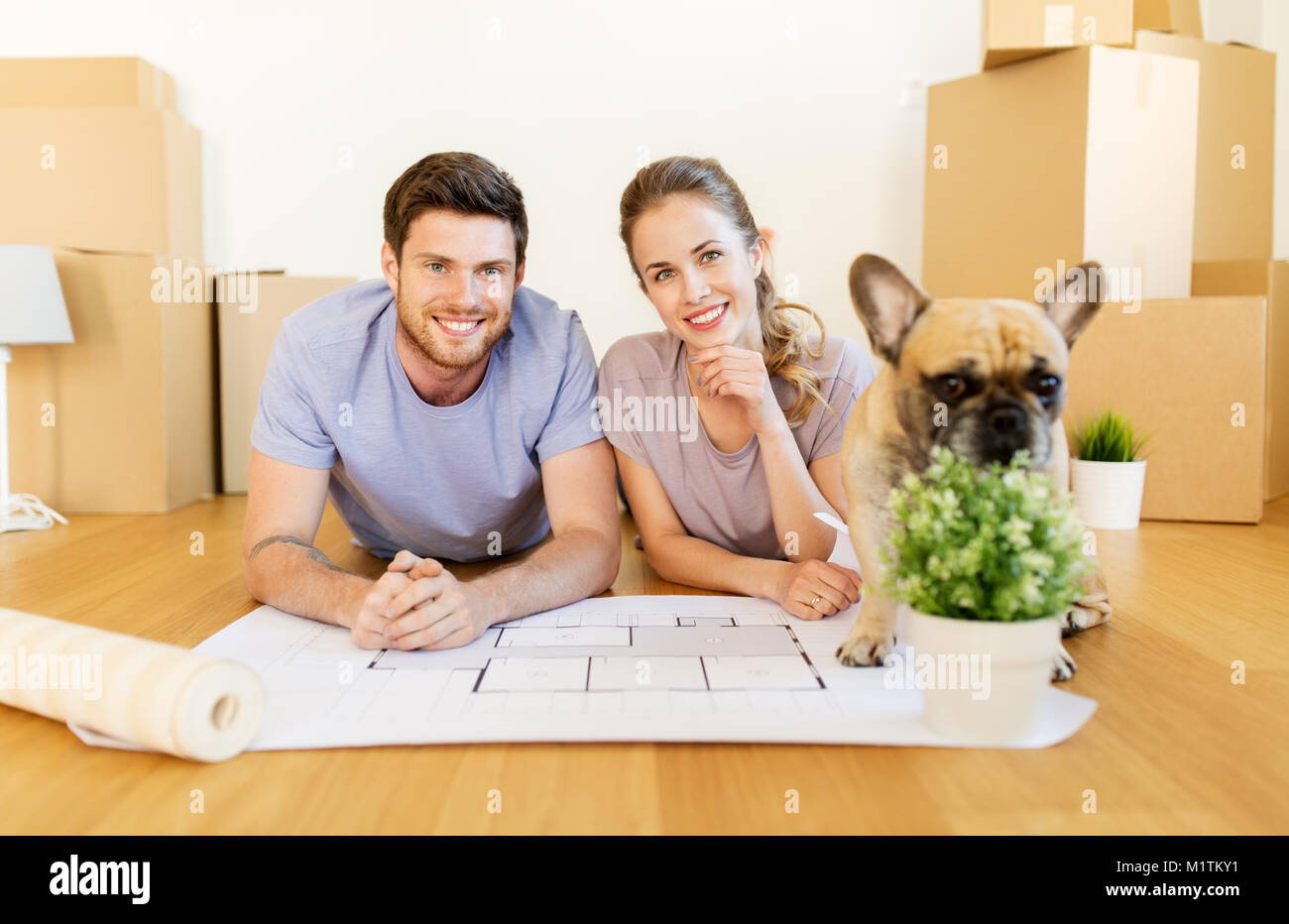 couple with boxes, blueprint and dog at new home Stock Photo - Alamy