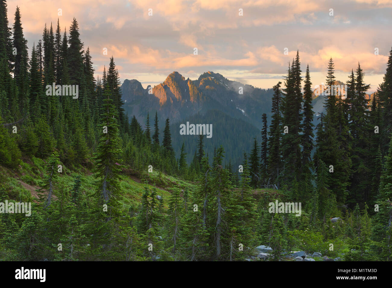 Tatoosh range hi-res stock photography and images - Alamy