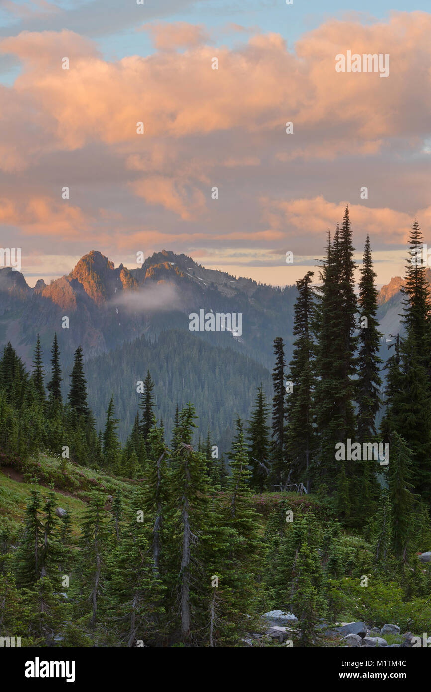 Tatoosh range hi-res stock photography and images - Alamy
