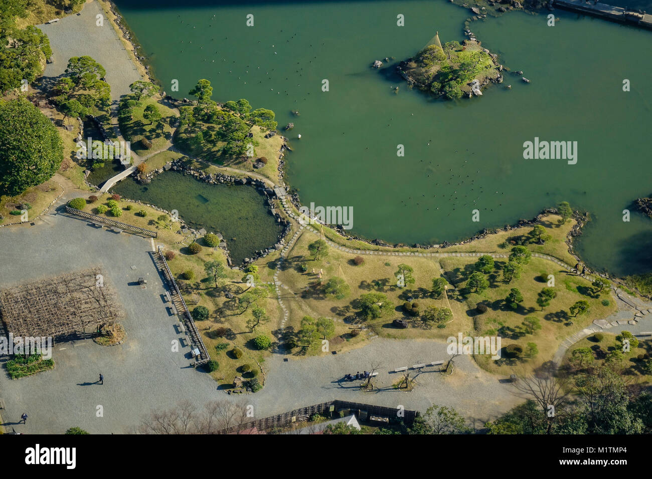 Aerial view of city park at downtown in Tokyo, Japan Stock Photo - Alamy