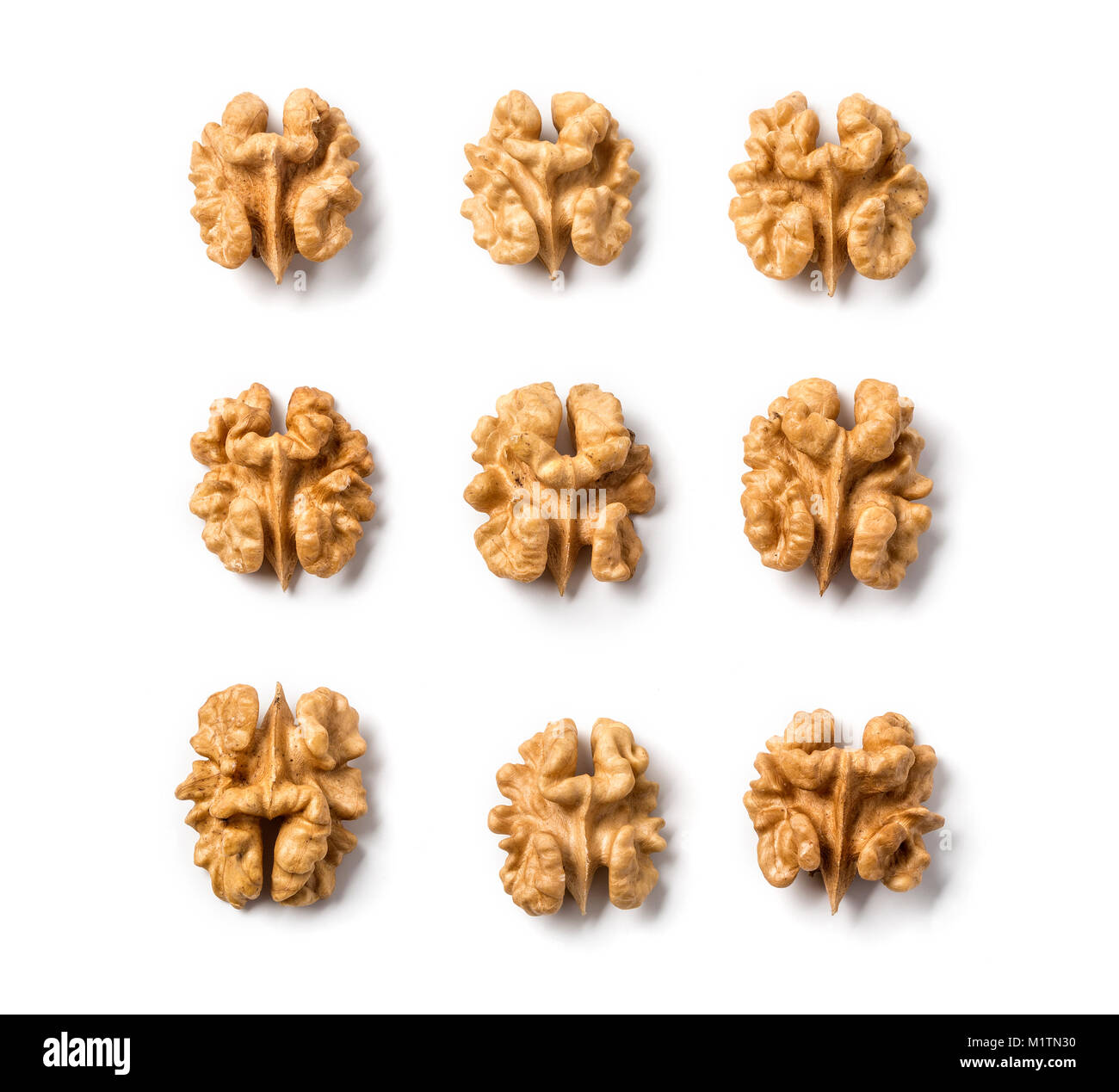 Walnut. Kernel isolated on white background. Collection Stock Photo - Alamy