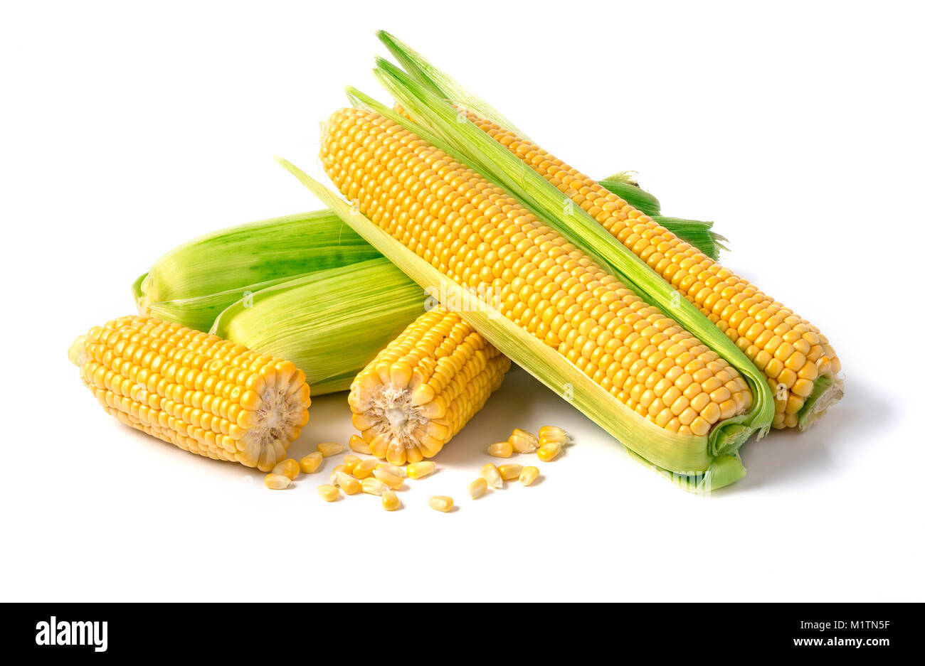 corn isolated on white background Stock Photo - Alamy