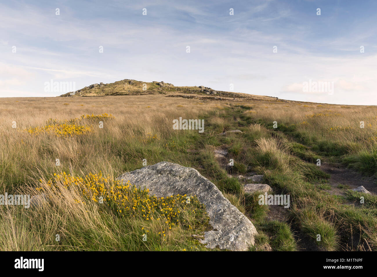An image showing Rippon Tor situated on Dartmoor National Park, Devon ...