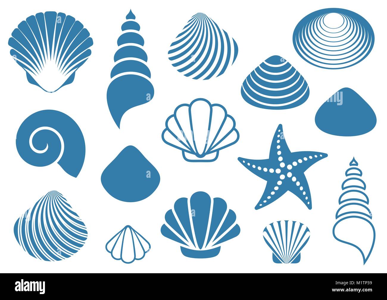 Set of various blue sea shells and starfish Stock Vector Image & Art ...