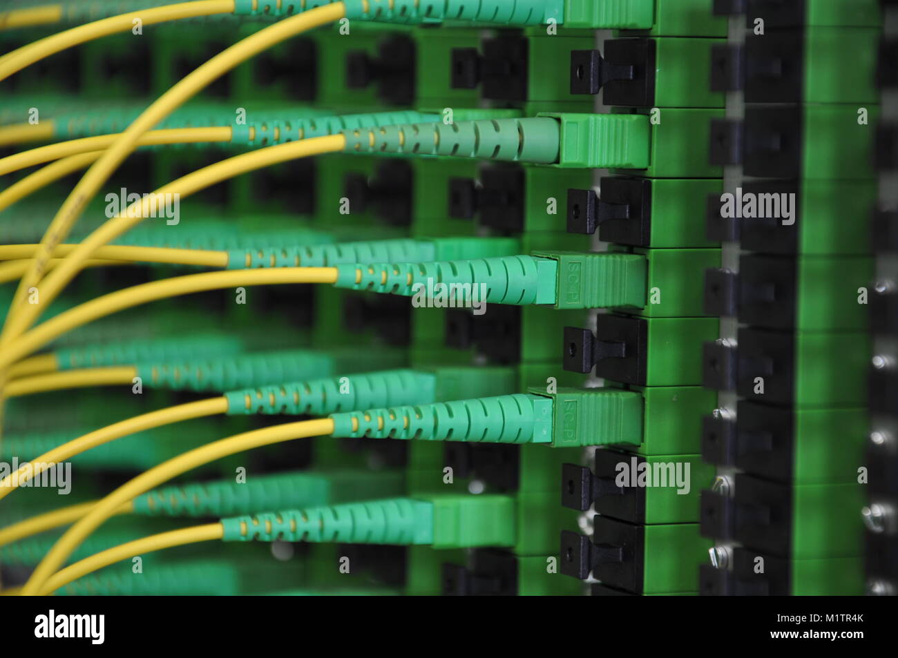Optical distribution panels with fiber optical cable Stock Photo - Alamy