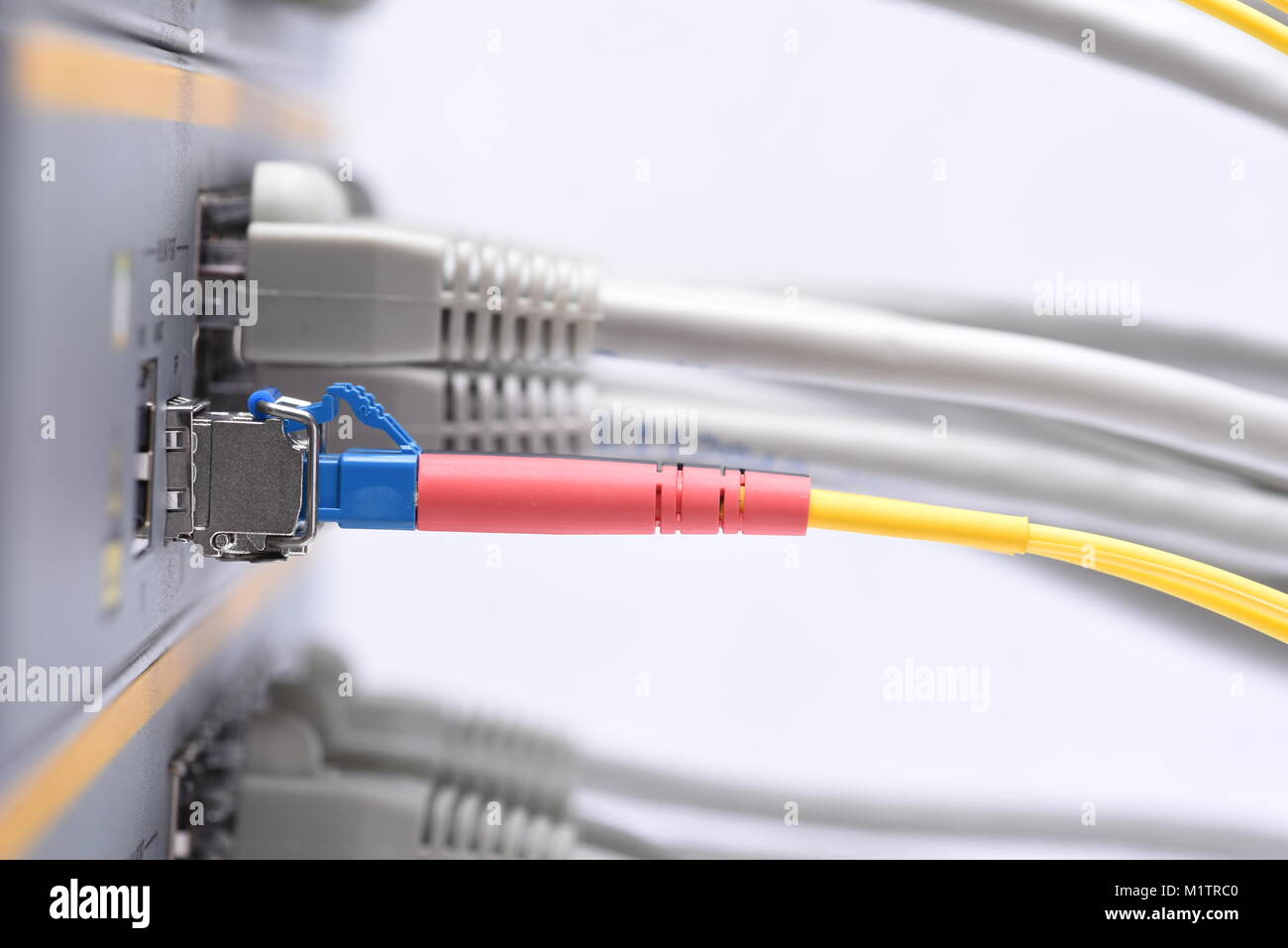 Data center, fiber optic and network cables connected to the switch ...