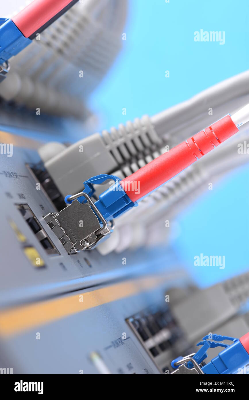 Optical fiber patch cord and network cables connected to switch in ...