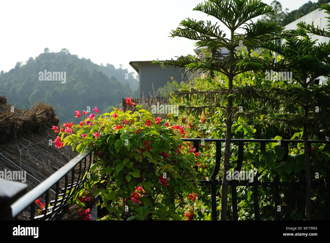 Pir Sohawa Islamabad Stock Photo - Alamy