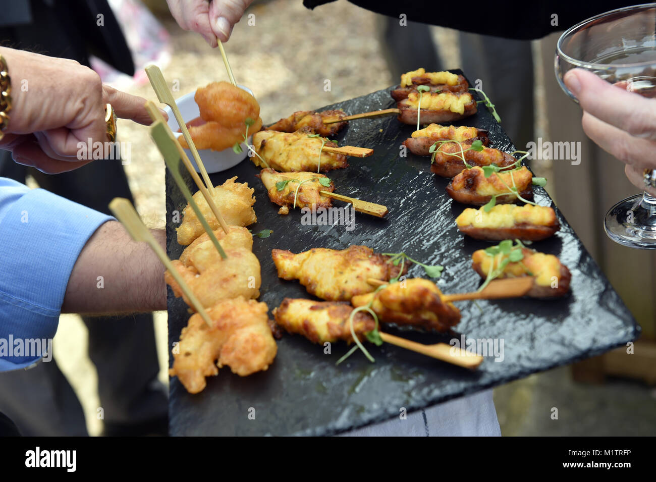 Tray of canapes is served at a wedding Stock Photo - Alamy