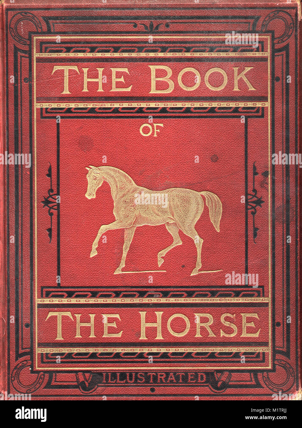 Victorian book cover The Book of the Horse Stock Photo - Alamy