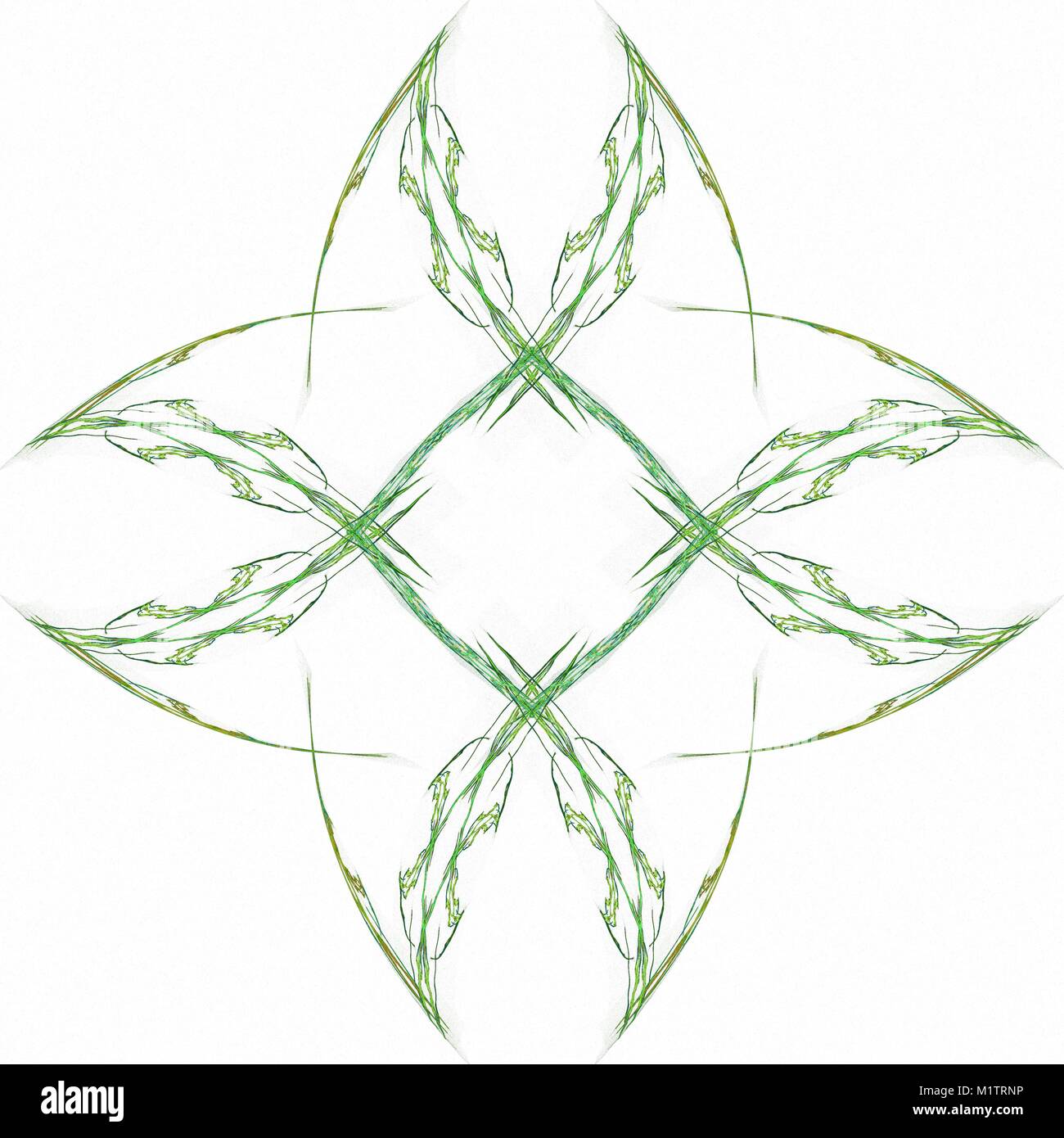 Abstract green floral pattern isolated on white background Stock Photo ...