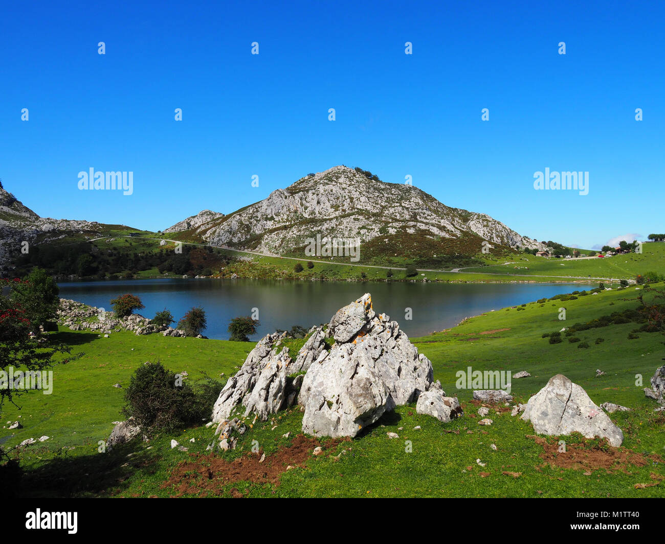 View of Lake Enol at Lakes of Covadonga in Asturias, Spain Stock Photo ...