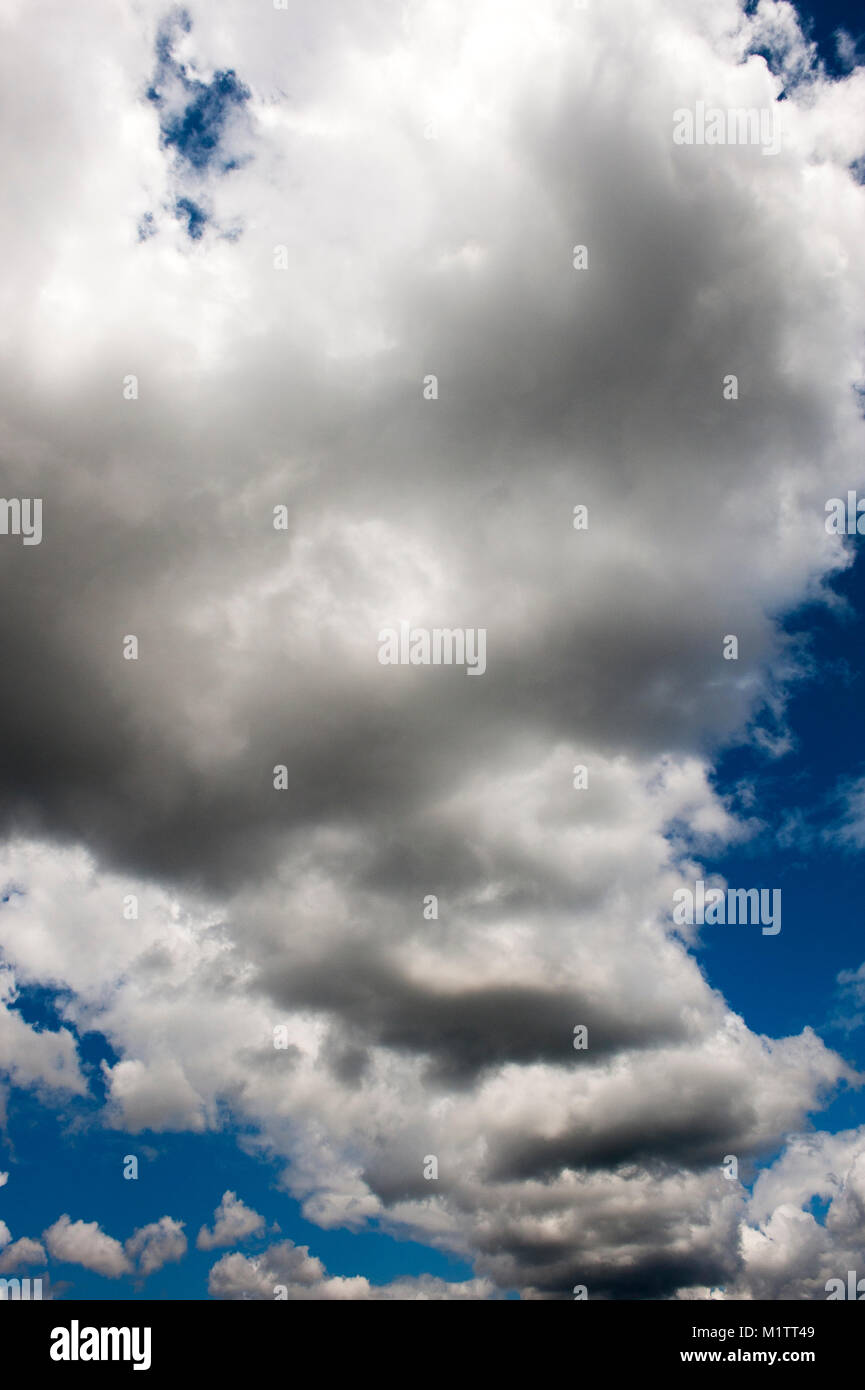 Fair weather fluffy clouds in summer hi-res stock photography and ...
