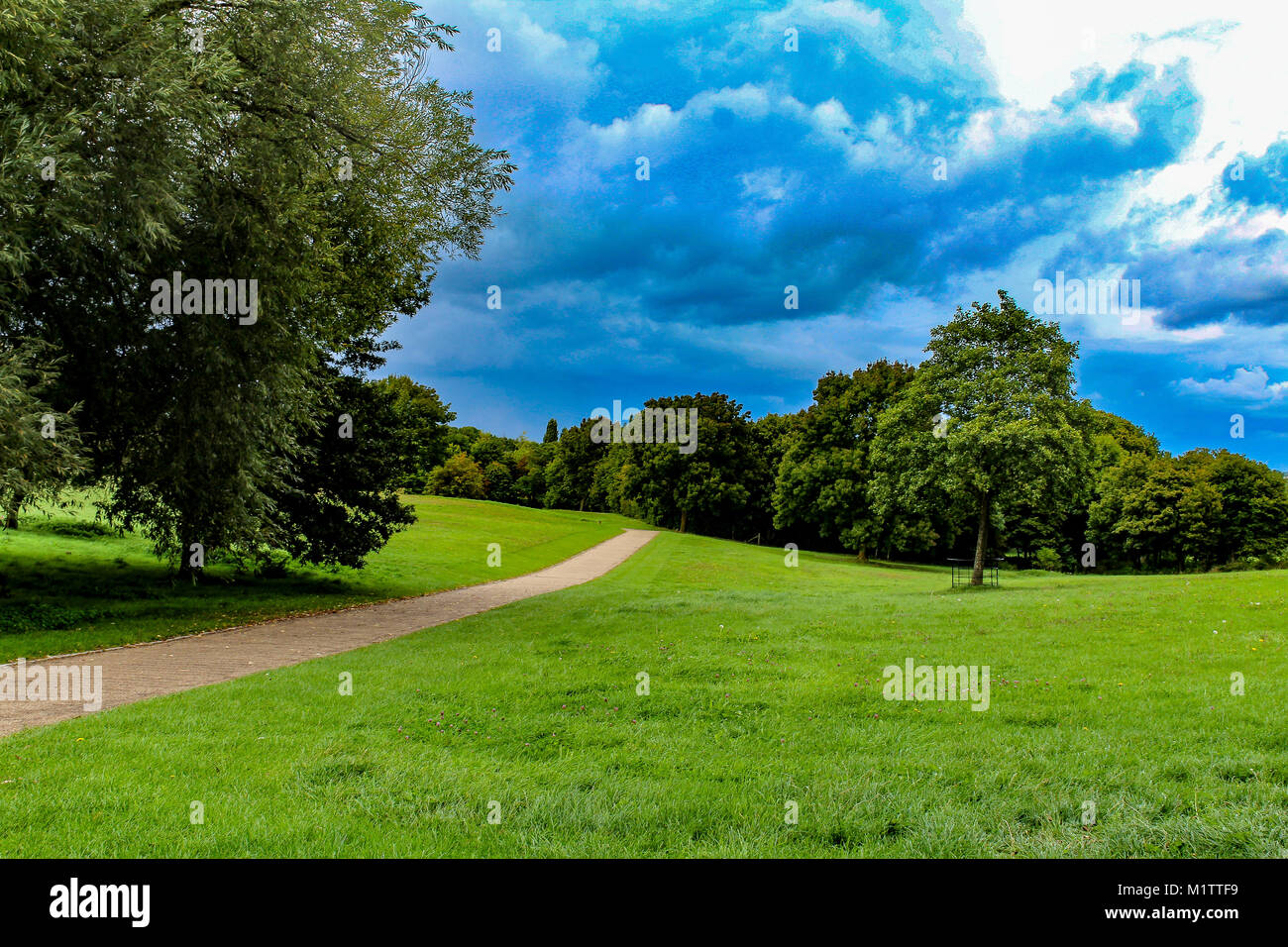 Campbel Park High Resolution Stock Photography and Images - Alamy