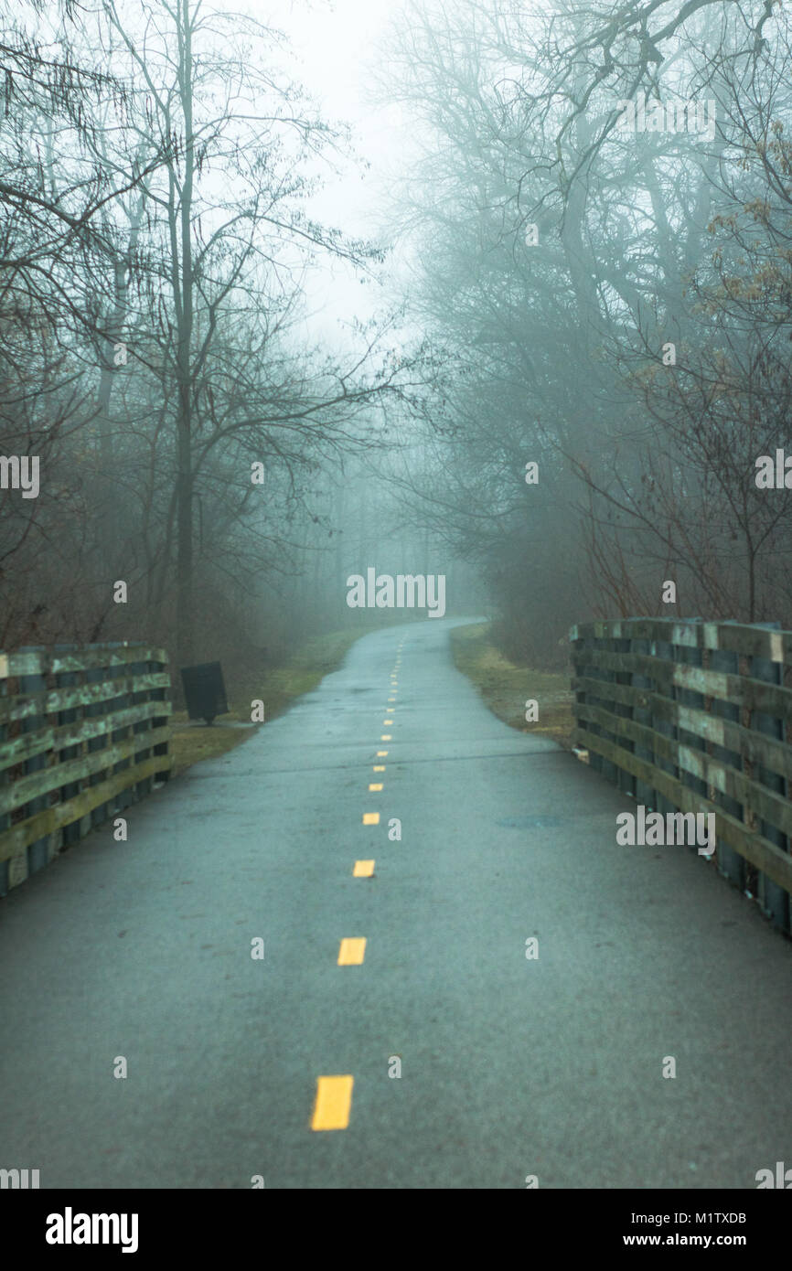 Gloomy path hi-res stock photography and images - Alamy