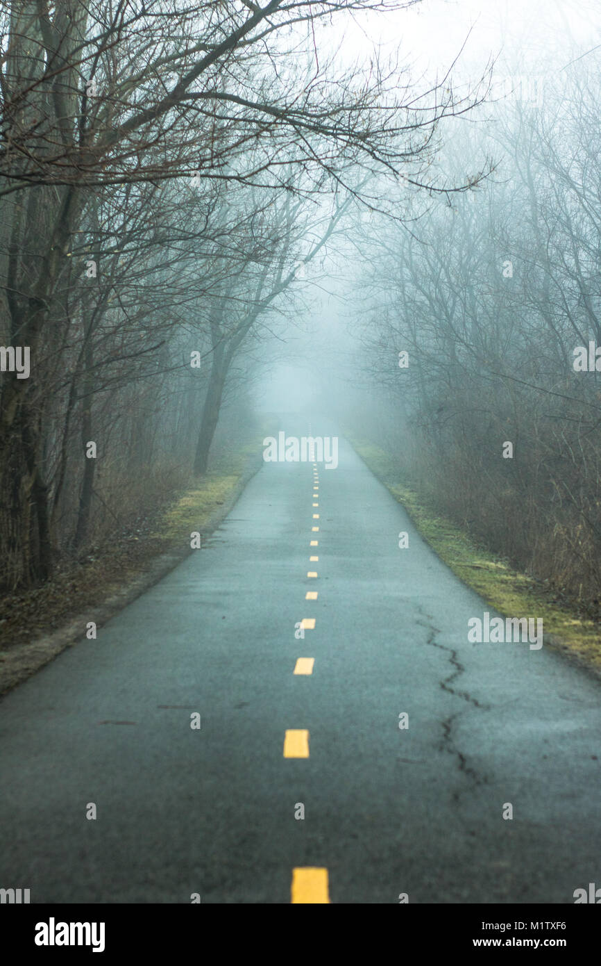 Gloomy path hi-res stock photography and images - Alamy