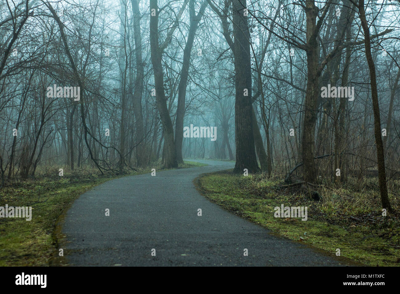Gloomy path hi-res stock photography and images - Alamy
