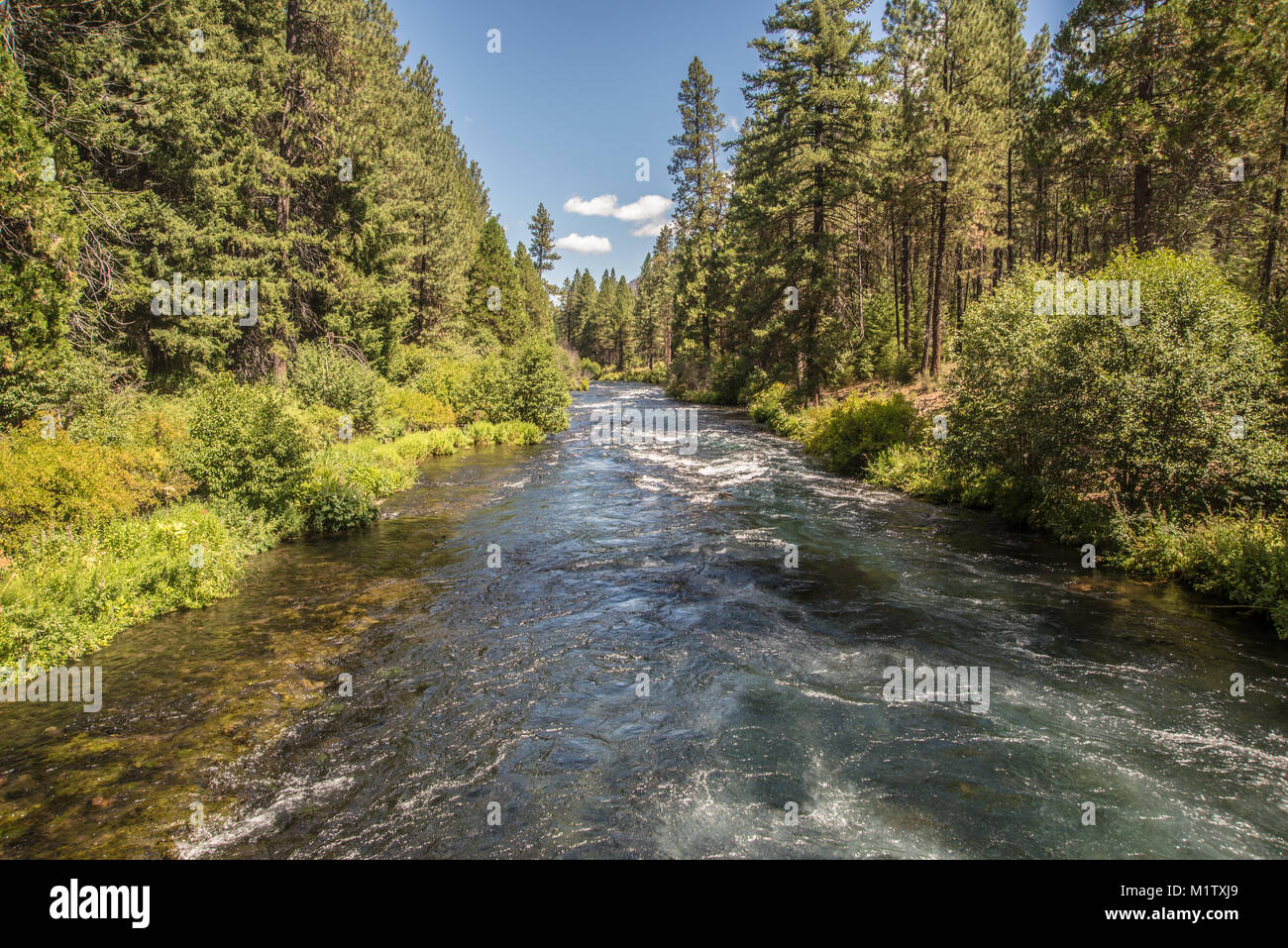 Metolius River in the central Oregon Cascade Mountains Stock Photo - Alamy