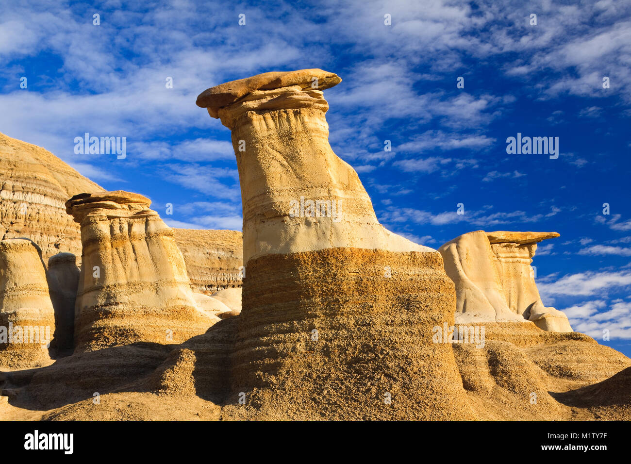 Hoodoos, a geologic formation on a bright day in the badlands near ...