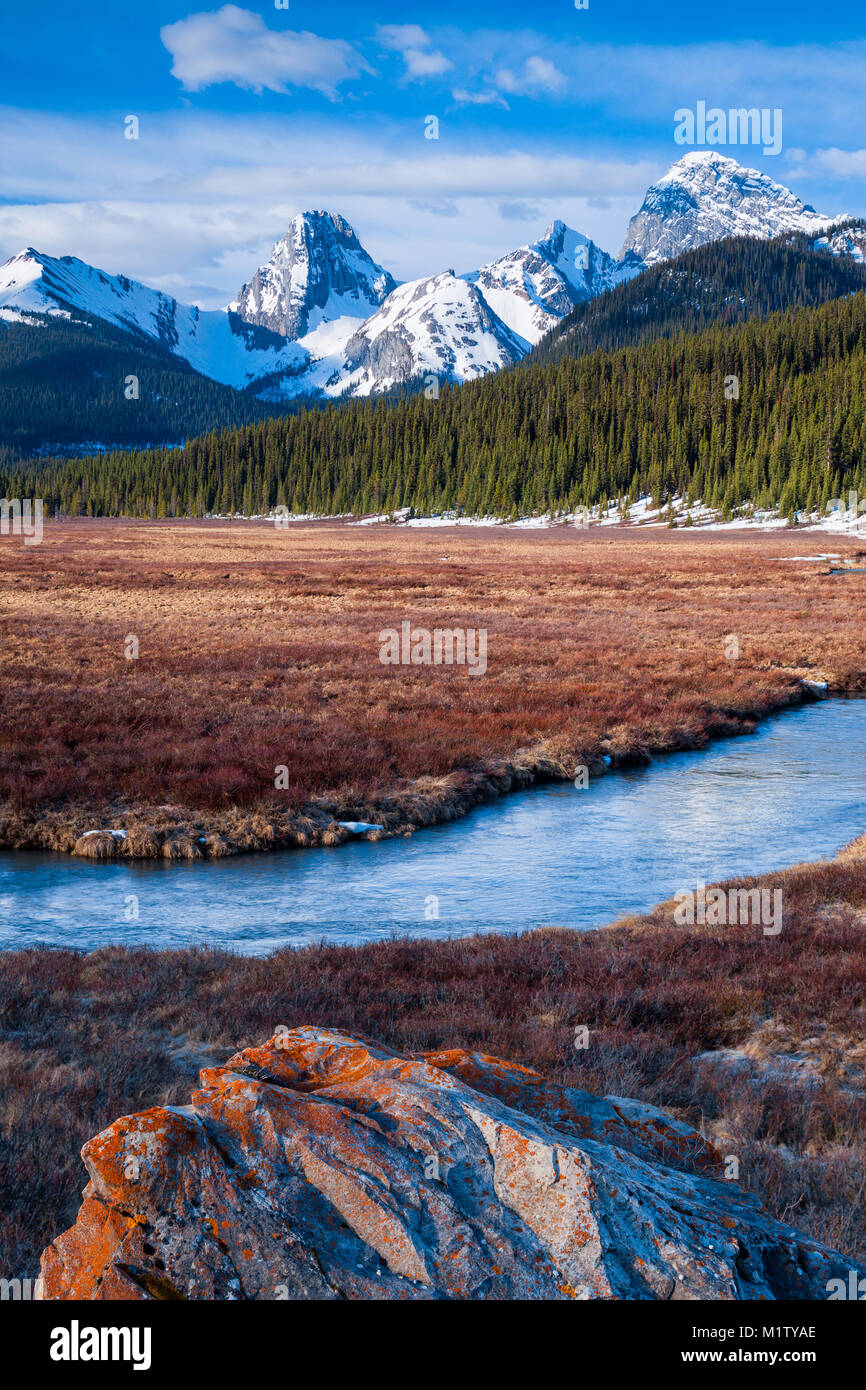 Engadine meadow kananaskis hi-res stock photography and images - Alamy