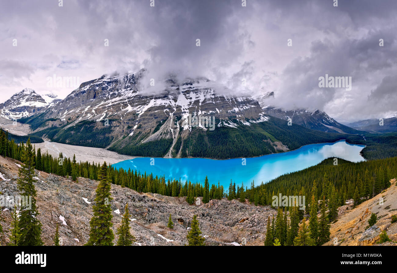 Peyto Lake in Banff National Park, Alberta, Canada on an overcast day ...