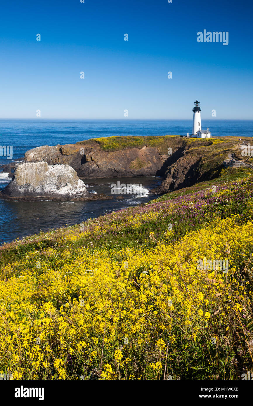 Coastal wild flowers and lighthouse hi-res stock photography and images ...