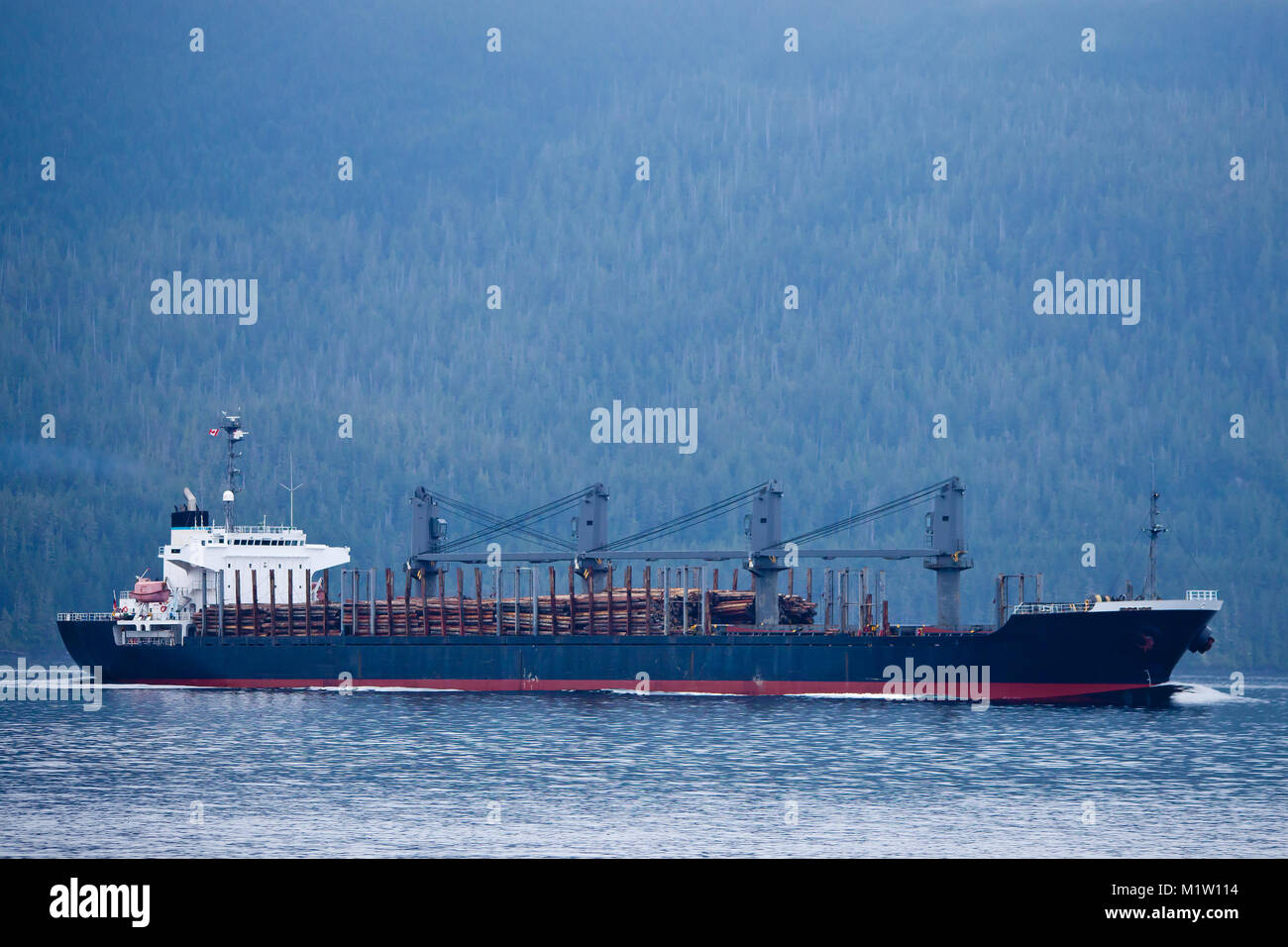 Cargo ship transporting stacks of freshly harvested logs Stock Photo ...