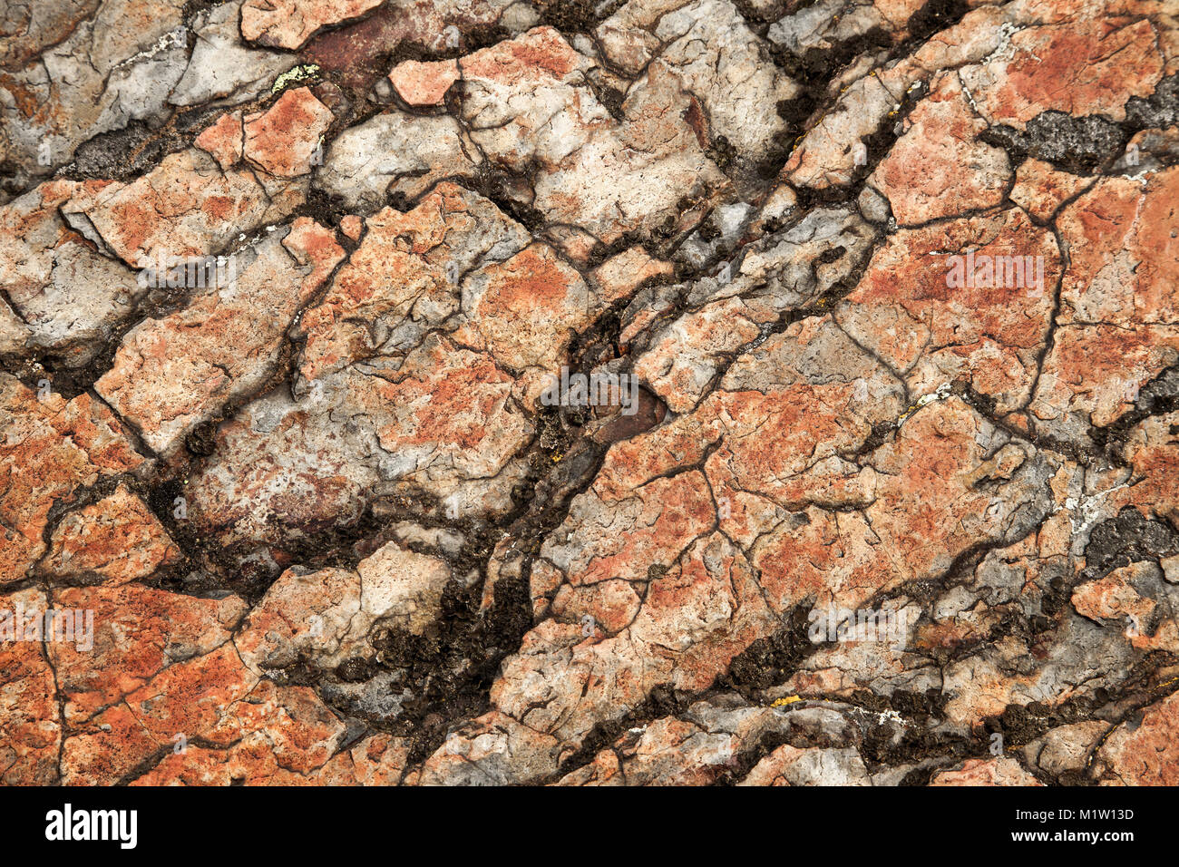 A close up image of a rocky texture and background Stock Photo - Alamy