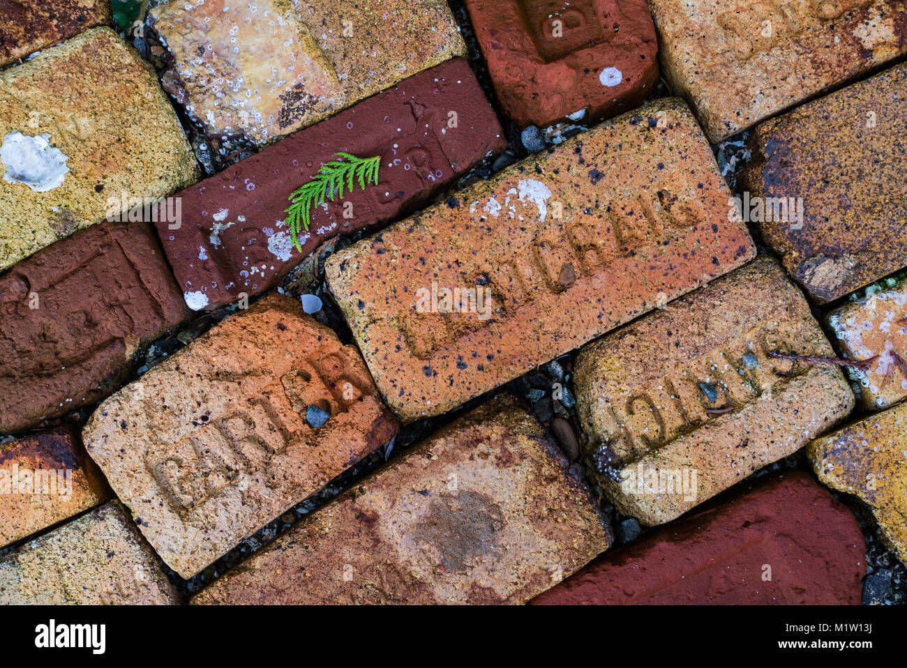 Rustic brick walkway full of texture and color Stock Photo - Alamy
