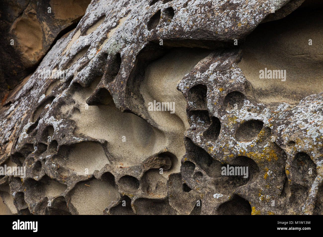 A close up image of a rocky texture and background Stock Photo - Alamy