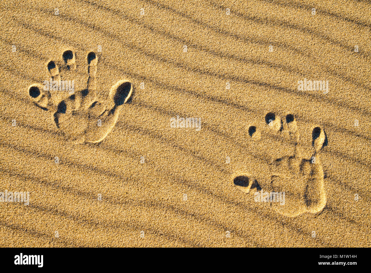 Finger prints texture hi-res stock photography and images - Alamy