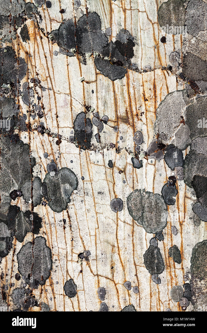 A close up image of a rocky texture and background Stock Photo - Alamy