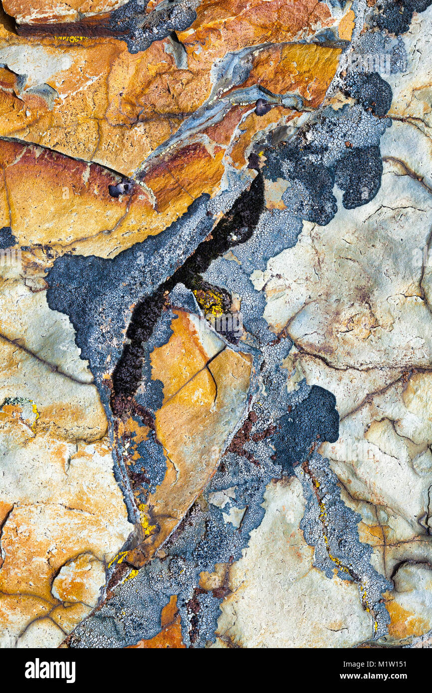 A close up image of a rocky texture and background Stock Photo - Alamy