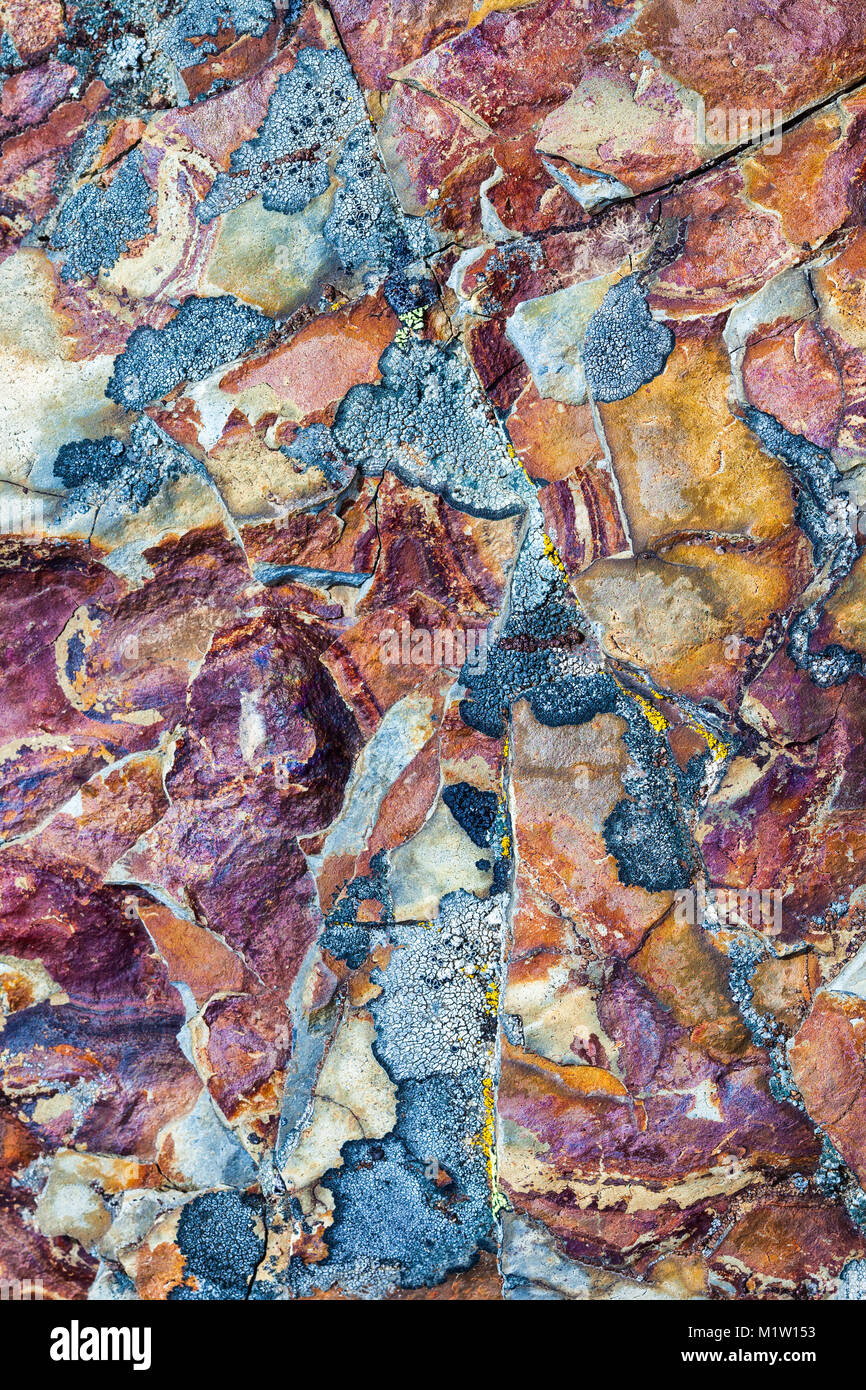 A close up image of a rocky texture and background Stock Photo - Alamy