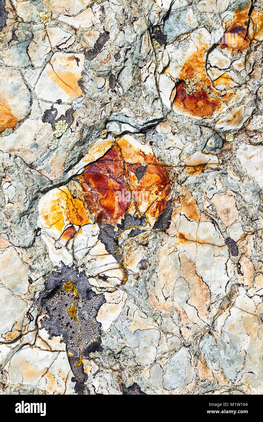 A close up image of a rocky texture and background Stock Photo - Alamy