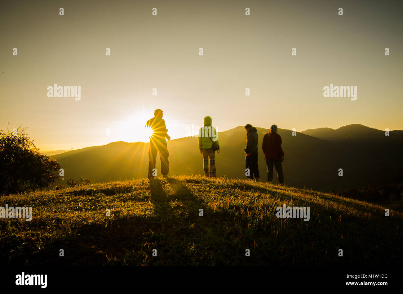 Group Of People Celebration Cheerful Sunset Concept,Big group of happy ...