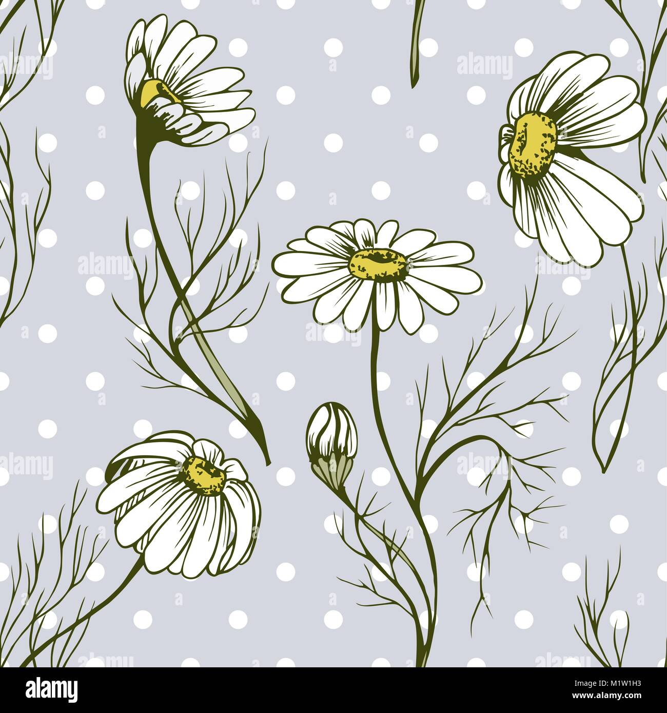 Chamomile flower vector seamlees pattern herbal texture onblue polka ...