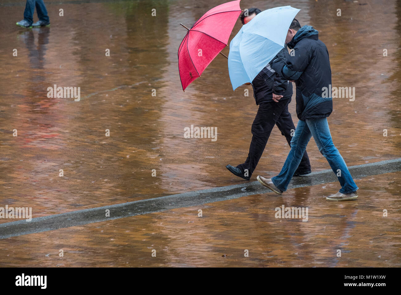 Two men walking in rain with their umbrellas Stock Photo - Alamy