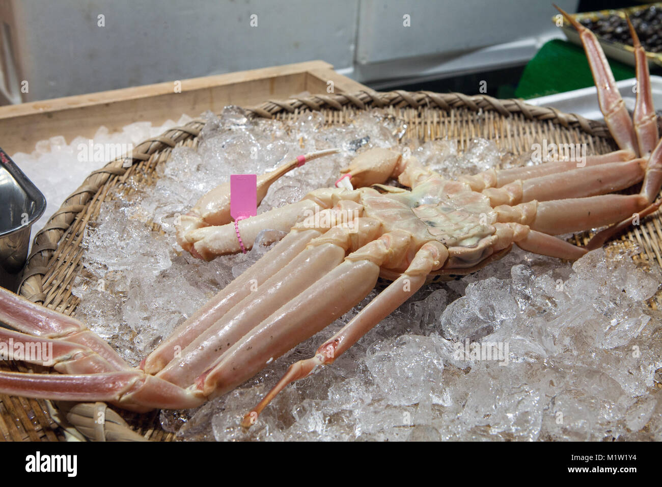 Japan fish markets hi-res stock photography and images - Alamy