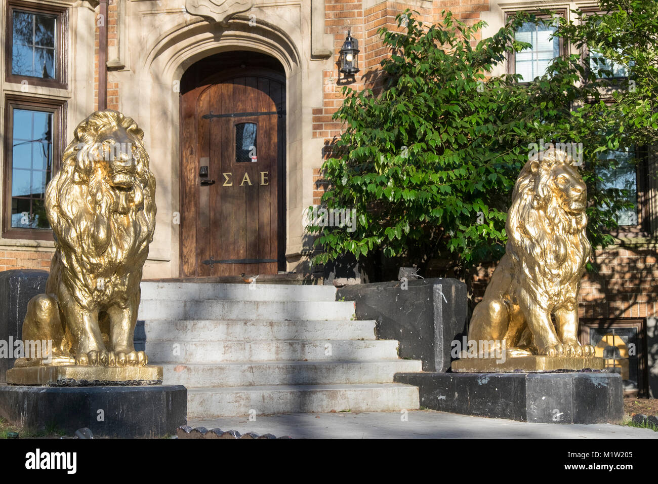 Sae fraternity house hi-res stock photography and images - Alamy