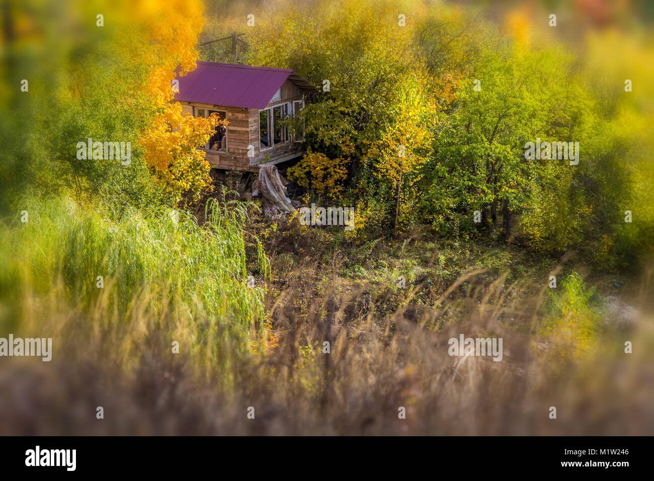 Beautiful cabin hidden in forest hi-res stock photography and images ...