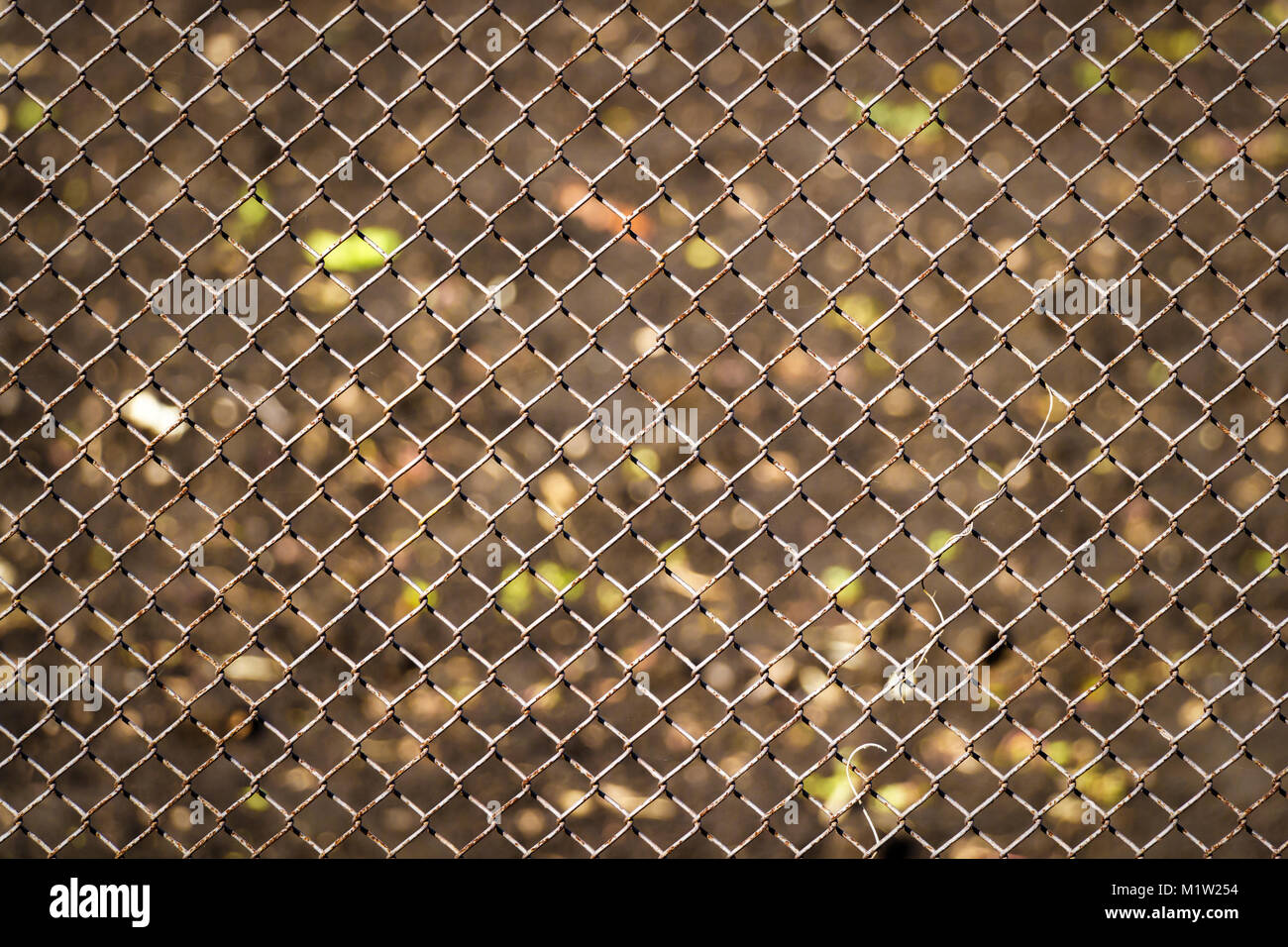 Metal mesh netting close-up full frame Stock Photo - Alamy
