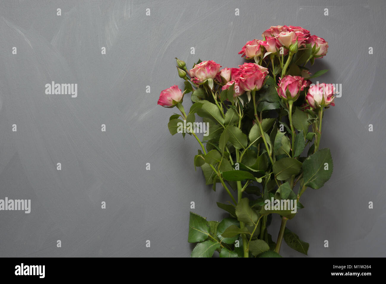 Bouquet of pink spotted bush roses on gray background. Top view ...