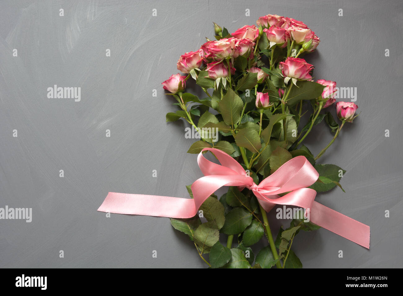 Bouquet of pink spotted bush roses with white ribbon on gray background ...