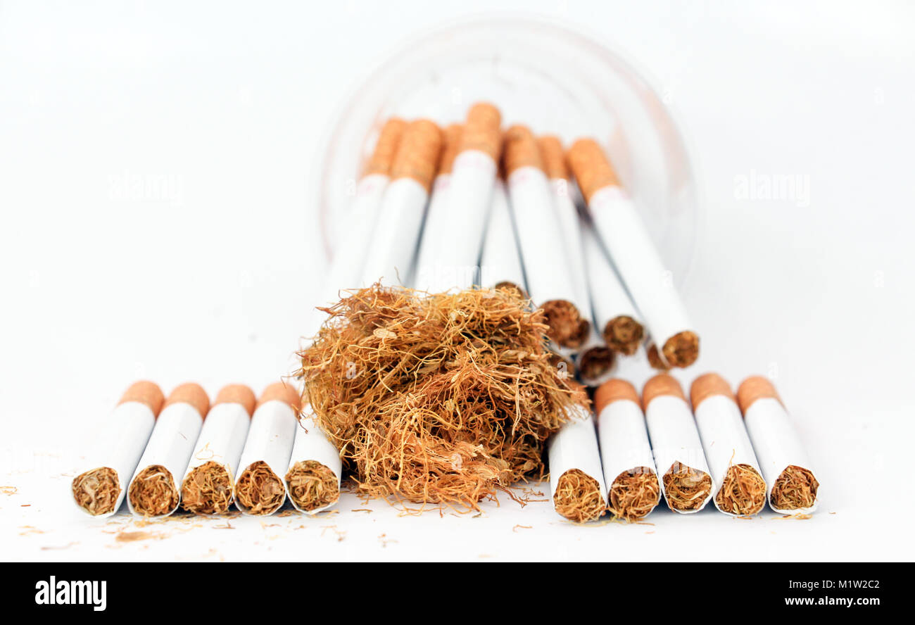cigarettes in a disposable cup and tobacco on white background,front ...