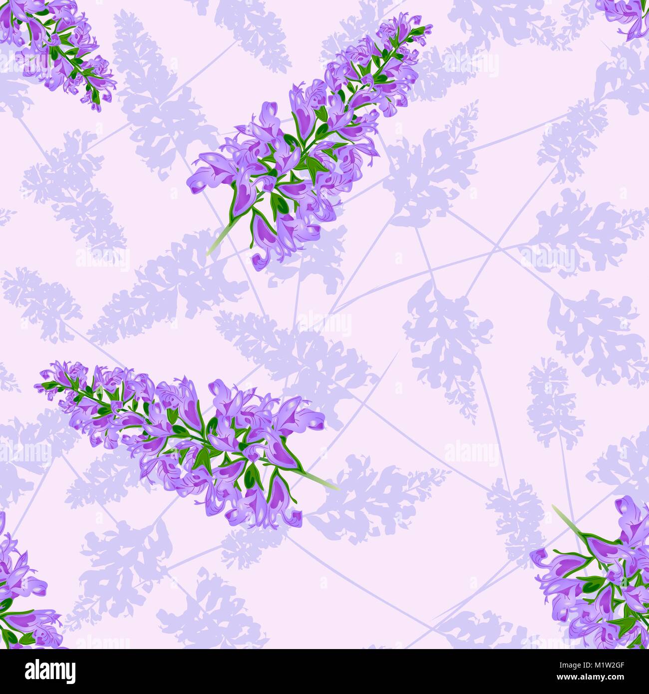 sage flowers seamless pattern Stock Vector Image & Art - Alamy