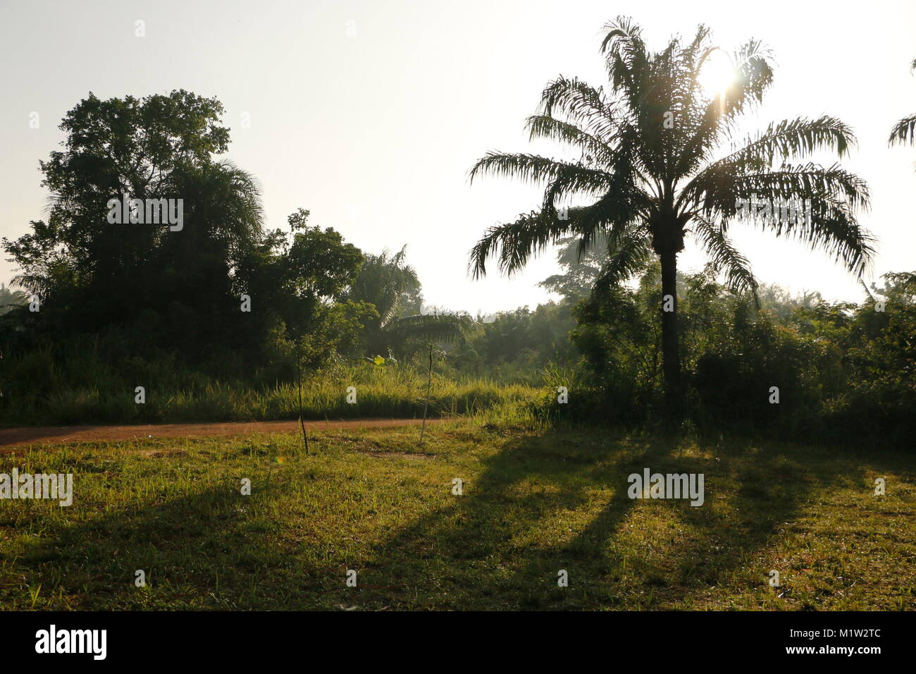 Sunrise in the countryside of Benin Stock Photo - Alamy