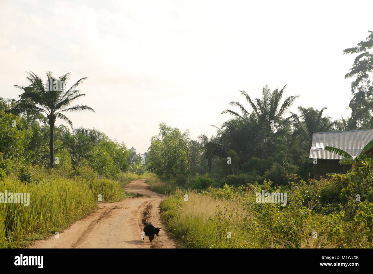 Village life in Benin Stock Photo - Alamy
