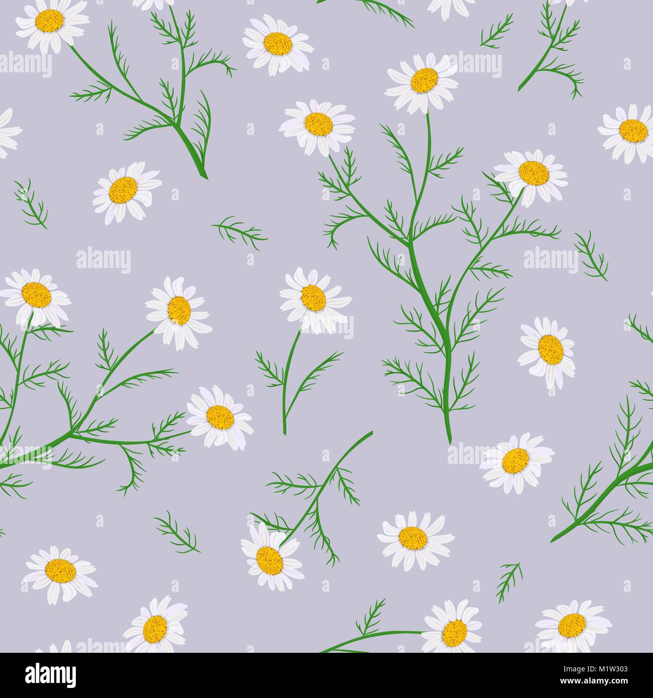 Daisy flowers. Seamless pattern. Vector illustration Stock Vector Image ...