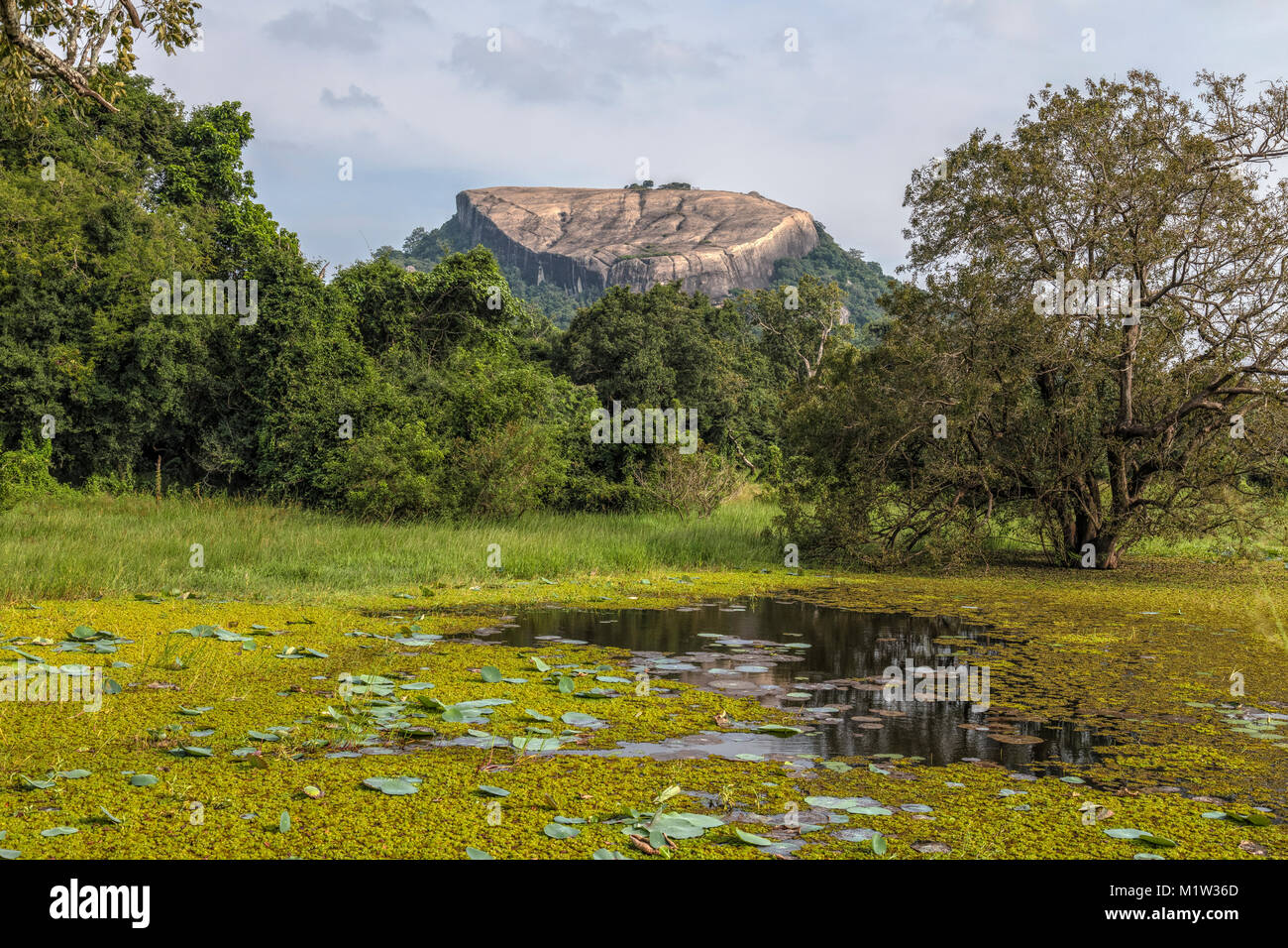 Sigiriya, Matale, Central Province, Sri Lanka, Asia Stock Photo - Alamy